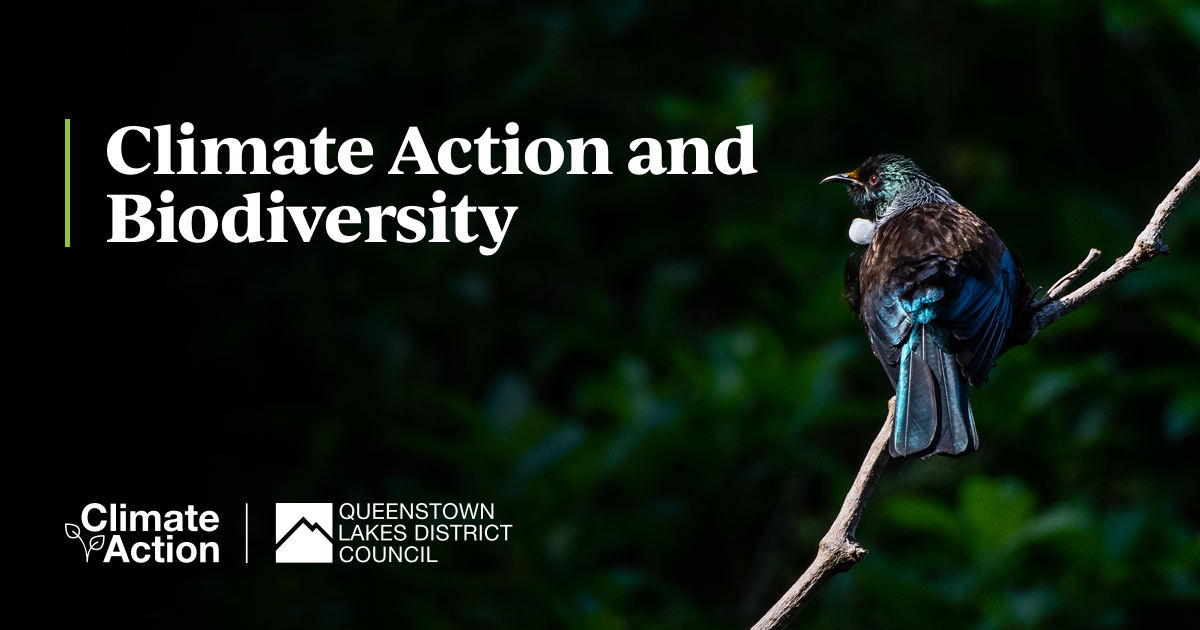 QLDC Climate Action Plan